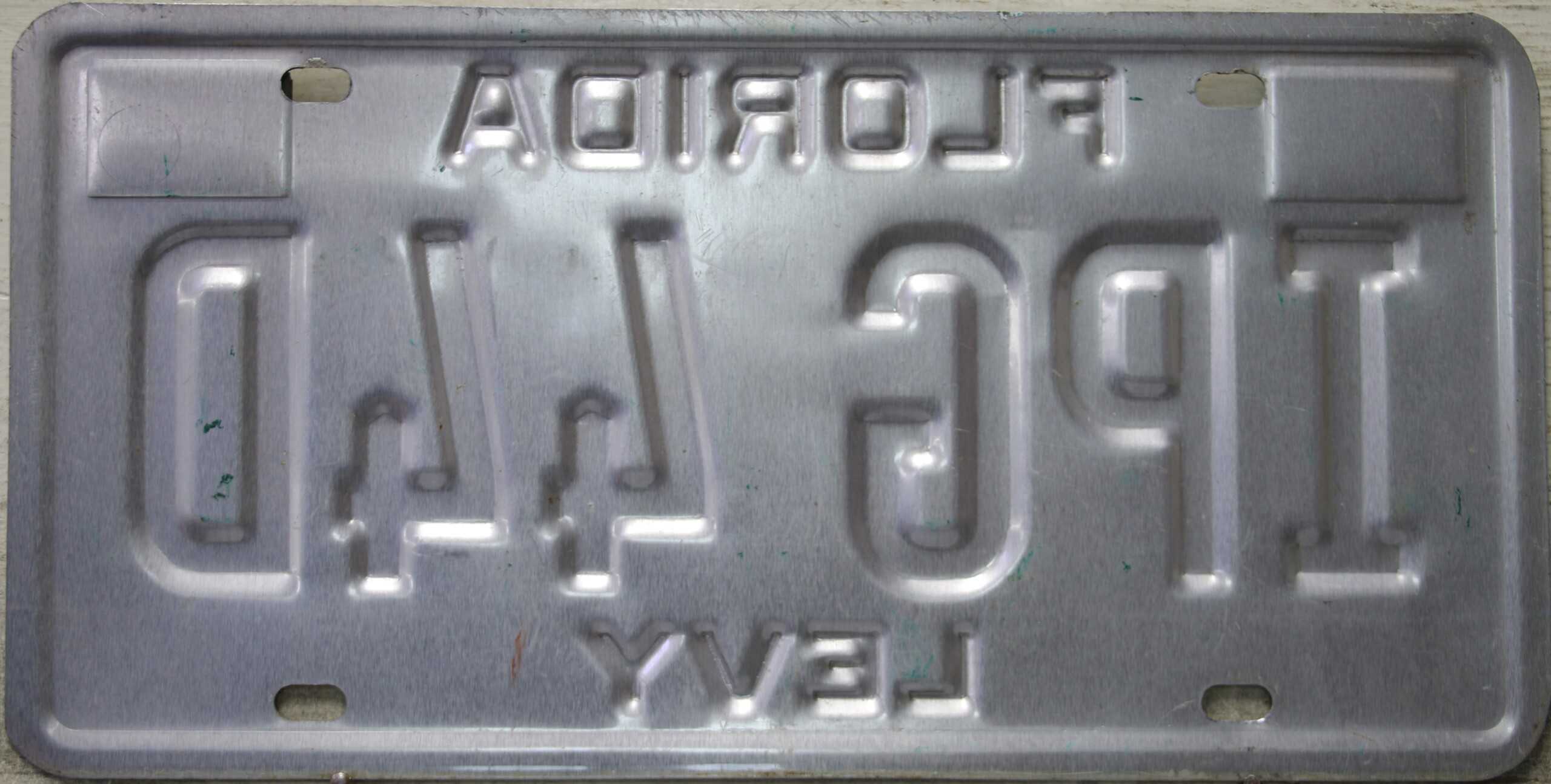 IPG 44D - Florida - 1996 | Great American Plates