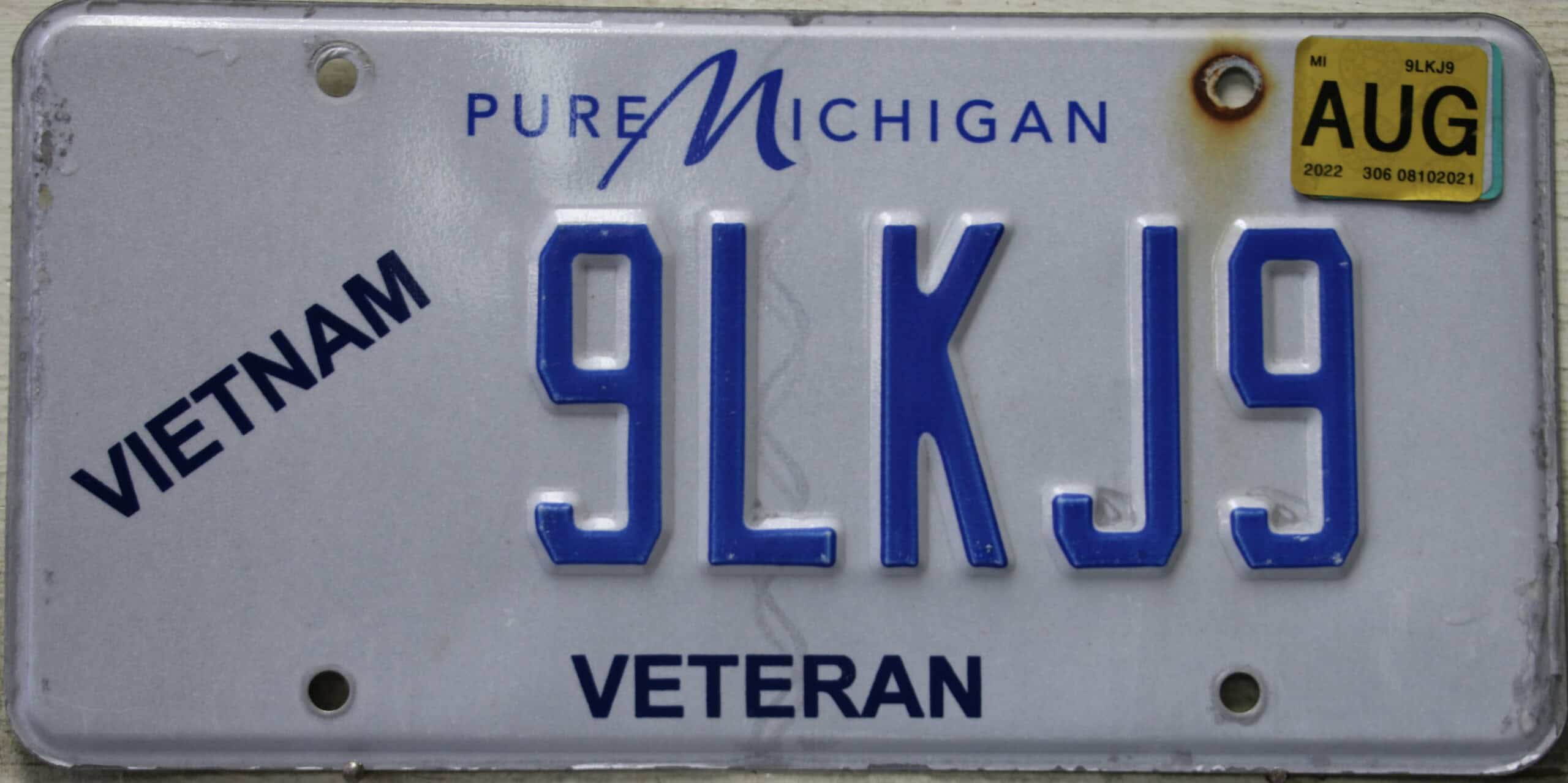 9LKJ9 - Michigan - 2022 | Great American Plates