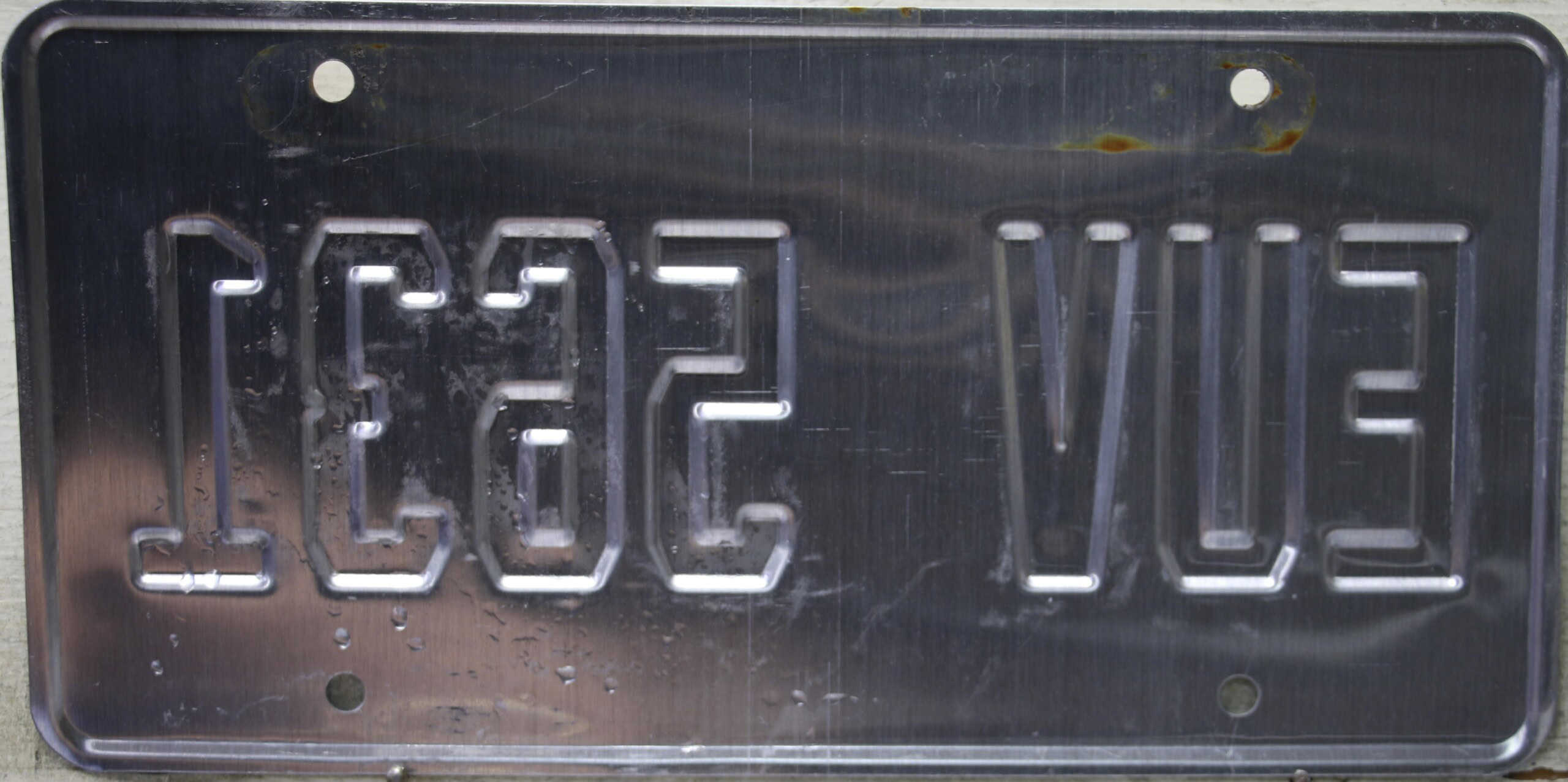 EUV 5631 - Michigan - 2025 | Great American Plates